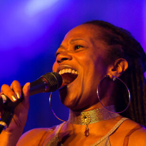 Güero's Taco Bar | Austin's Best Mexican Food